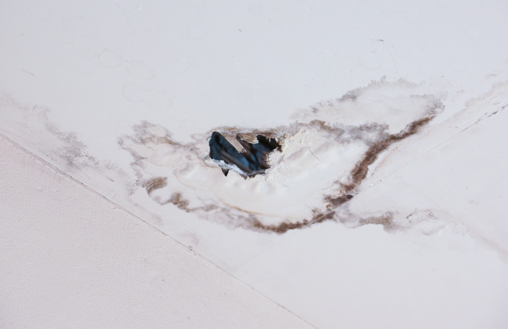Ceiling Pipe Bursts: Causes, Prevention, and Repair Guide ...