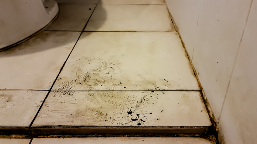 What’s Wrong with My Toilet Bowl? Always has this Stench that Comes and ...